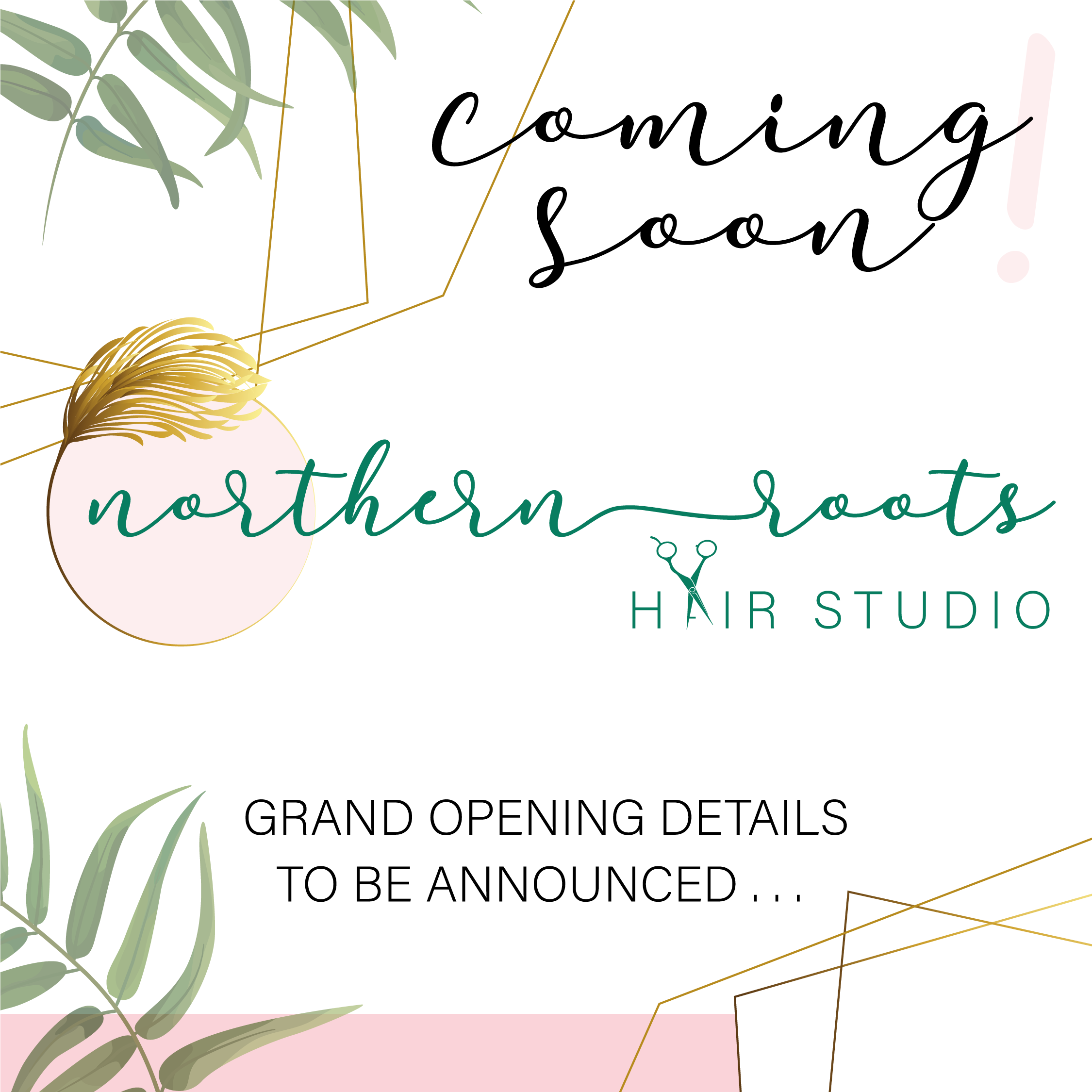 Northern roots hair studio logo